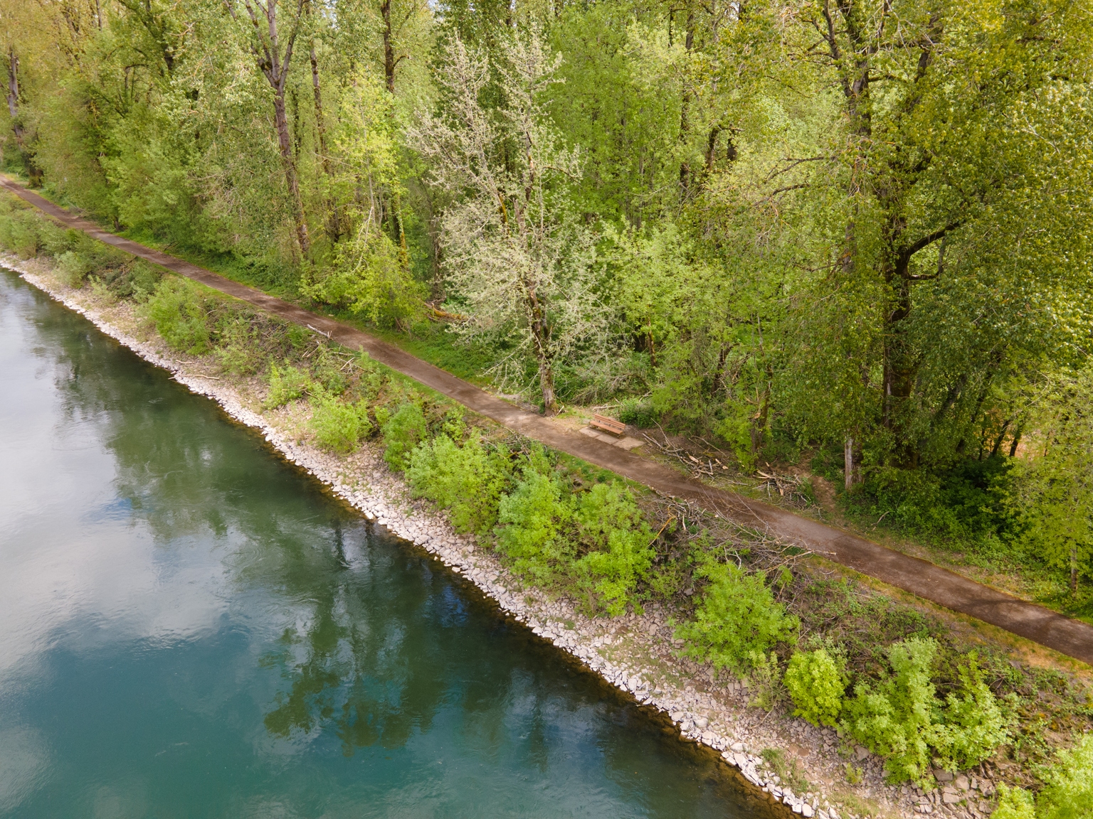 Minto-Brown Island Park • Salem • Oregon Runs